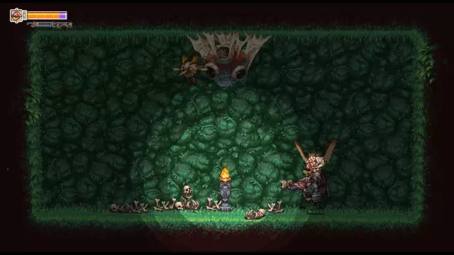 Owlboy: پائیدار حذف کریں 16209_8