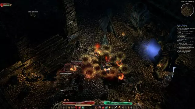 Grim Dawn: ang istorya sa usa ka kaadlawon 18601_1