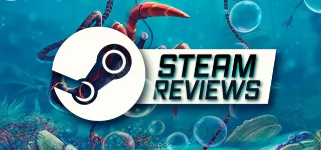 Problemen met Gamedizain in games bezorgd Steam-gebruikers meer dan bugs 30248_1