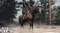 Nyowani Screenshots (Red Dead Ruregerero, Kane & Lynch 2, TDU2) 37611_31