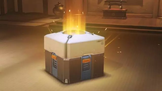 The Sly Blizzard begins to sell Overwatch loans in China. Containers with 