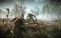 Sedm nových screenshotů The Witcher 3: Divoký lov 39551_7