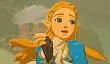 Legenden om Zelda: Breath of the Wild - Om Wild New World