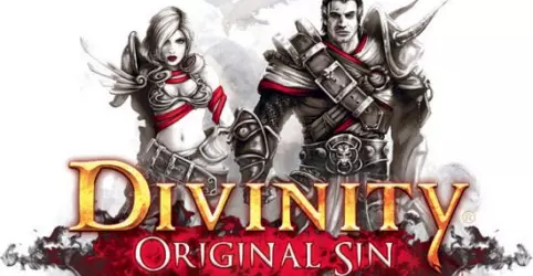 Divinite: Original Sin sou Kickstarter 66332_1