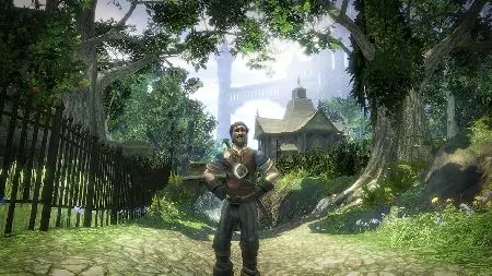 Fable 2 - Sims de fantasía 6701_3